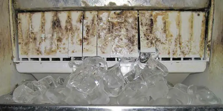 How to Clean an Ice Maker Of Mold and Slime? Best guide 2026
