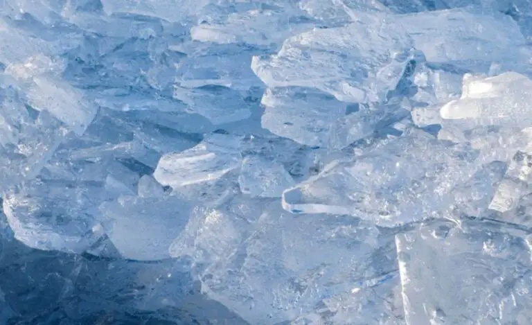 What Are The Different Types Of Ice Made By Ice Machines: Best 12 Types