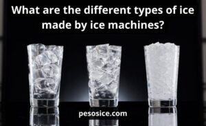 What Are The Different Types Of Ice Made By Ice Machines: Best 12 Types