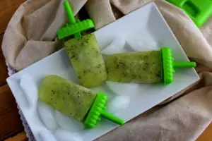 Do popsicles expire? 10 signs for and against