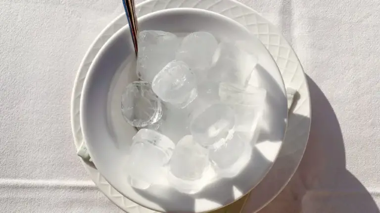 Can Ice Go Bad? 5 Best Tips for Keeping Your Ice Fresh